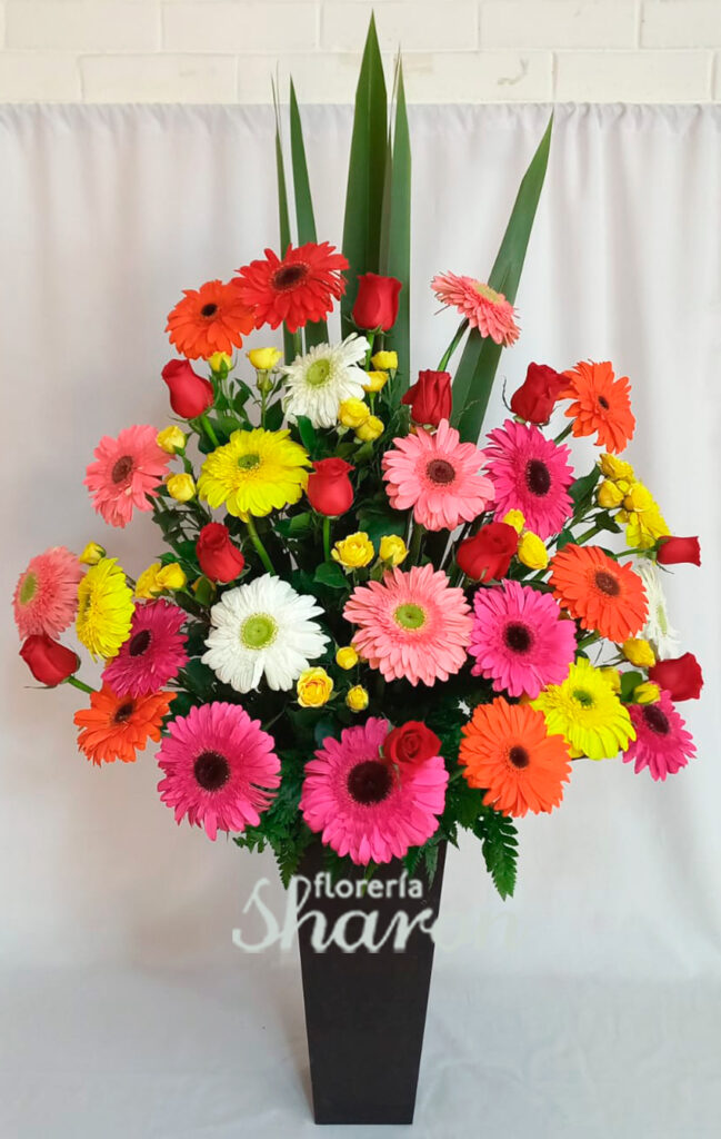 Arreglo floral de Gerberas Jade – Envío de flores a domicilio CDMX | Diseños personalizados ...